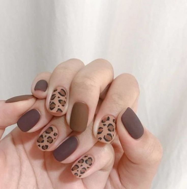 Diseño De Uñas Cortas Gelish Animal Print En Cafe Ideas E Imágenes